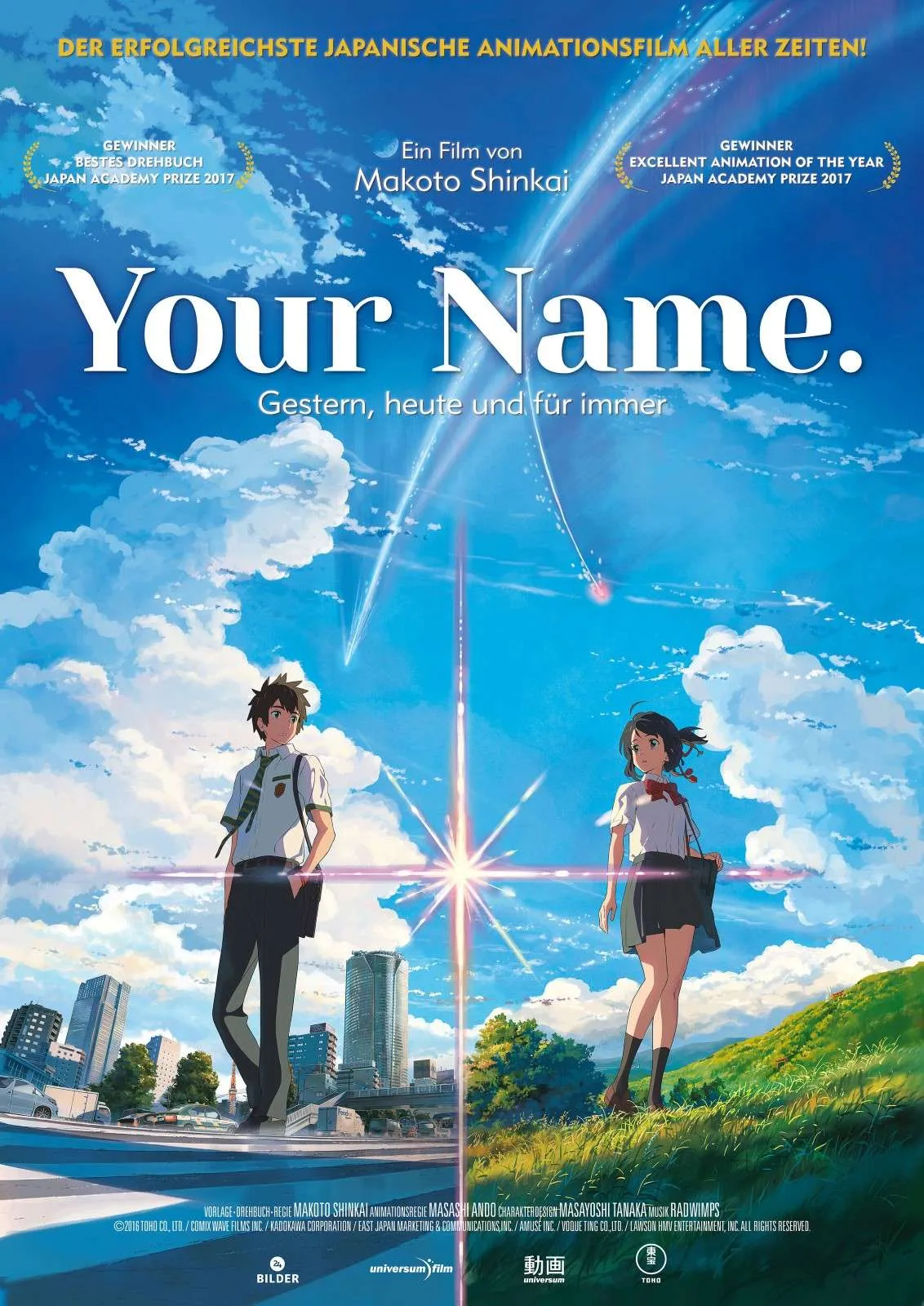 Your Name Subtitles | Subtitle Nexus